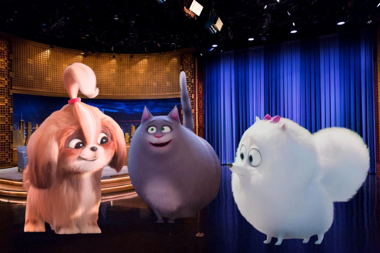 Gidget, Daisy and Chloe On The Tonight Show Starring Jimmy Fallon. | Fandom