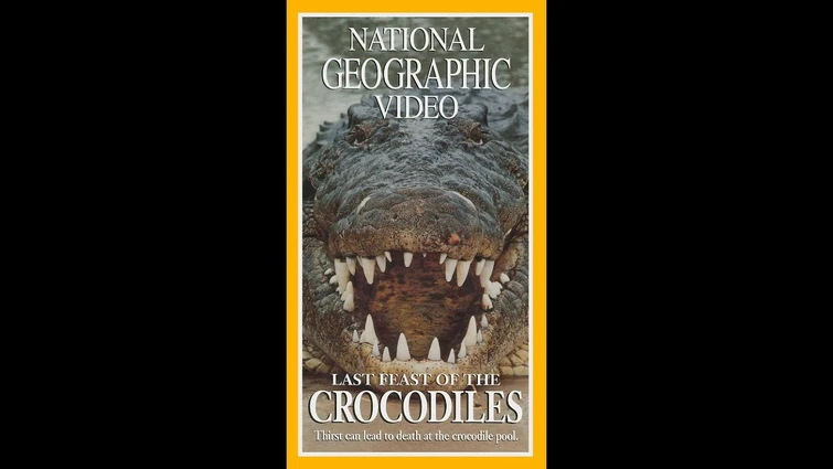 Discuss Everything About Dinopedia | Fandom