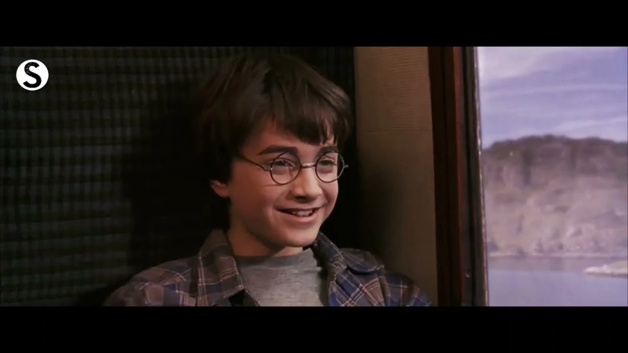 Harry Potter and the Sigma Grindset | Fandom