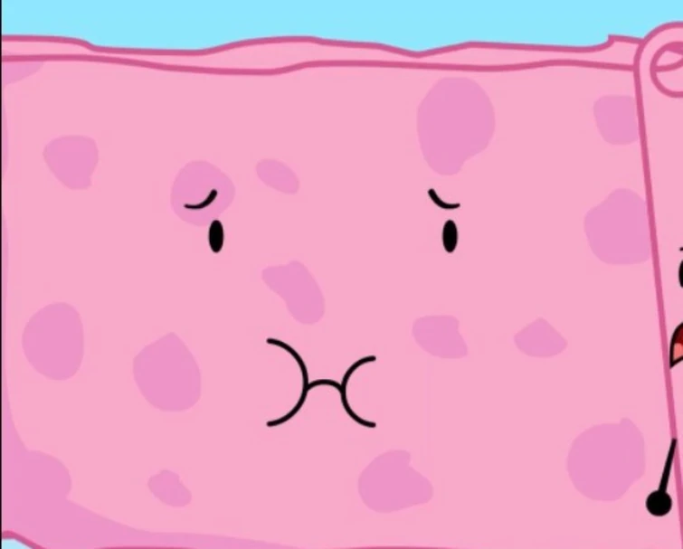 every single pink BFDI character! | Fandom
