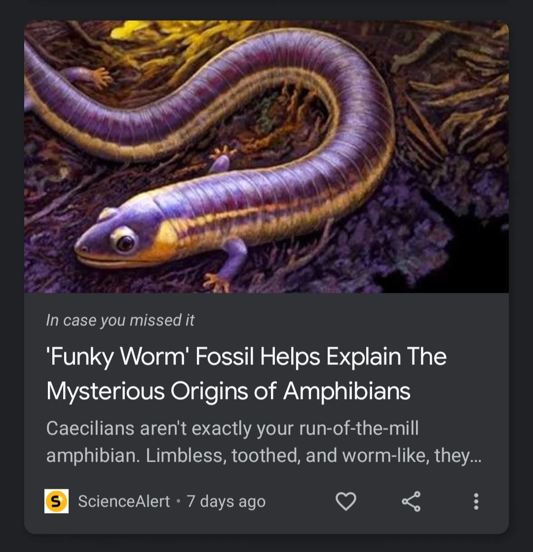 funky worm fossil | Fandom