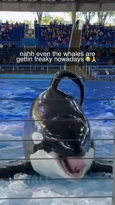 Now where did my freak potion go? | Fandom