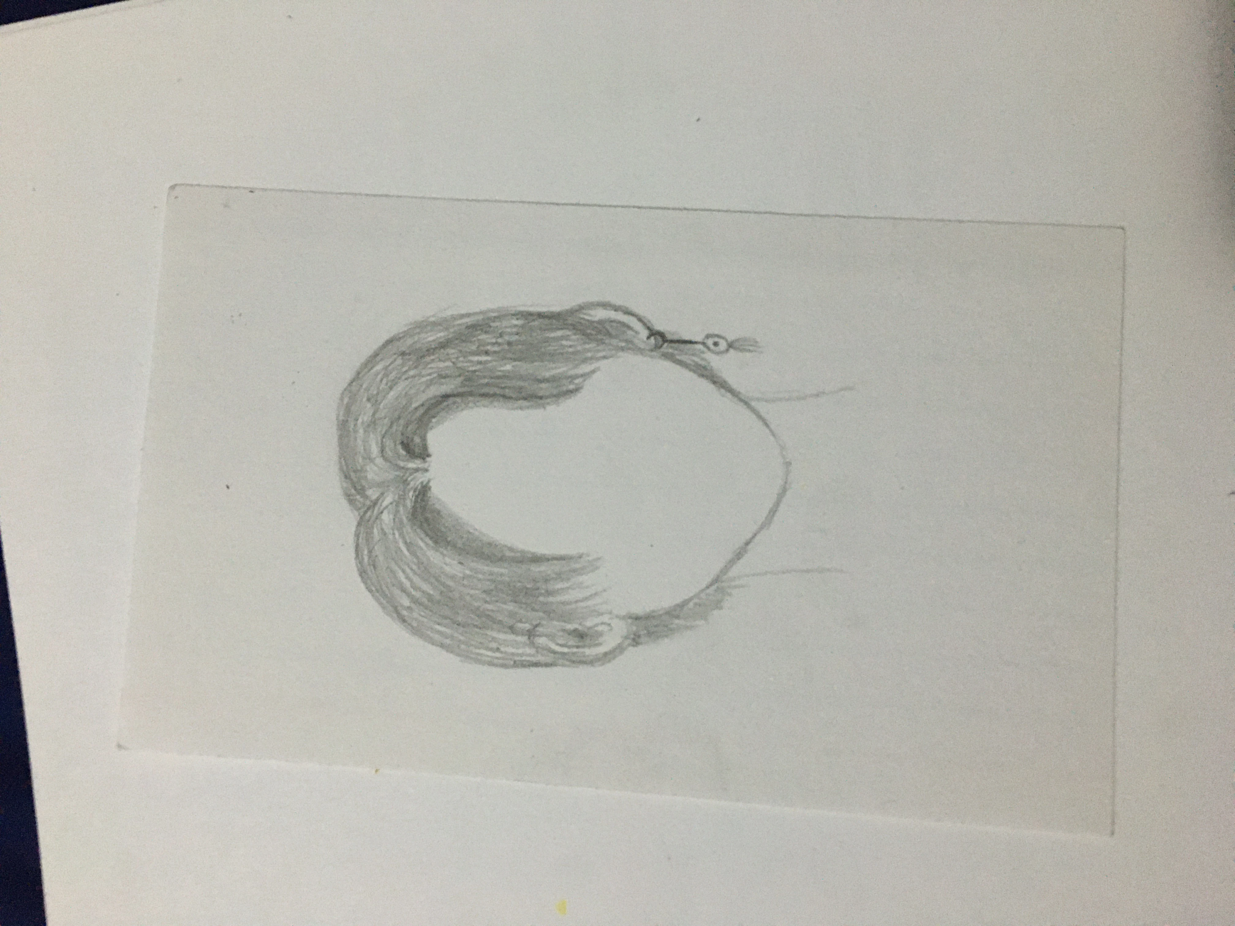 This is a drawing of Felix | Fandom