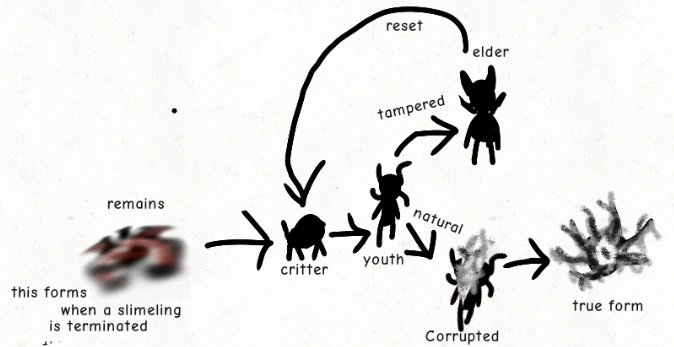 Life cycle | Fandom