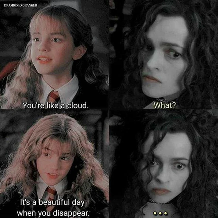 Hermione roasts everyone (feat. Prof. McGonagall) | Fandom