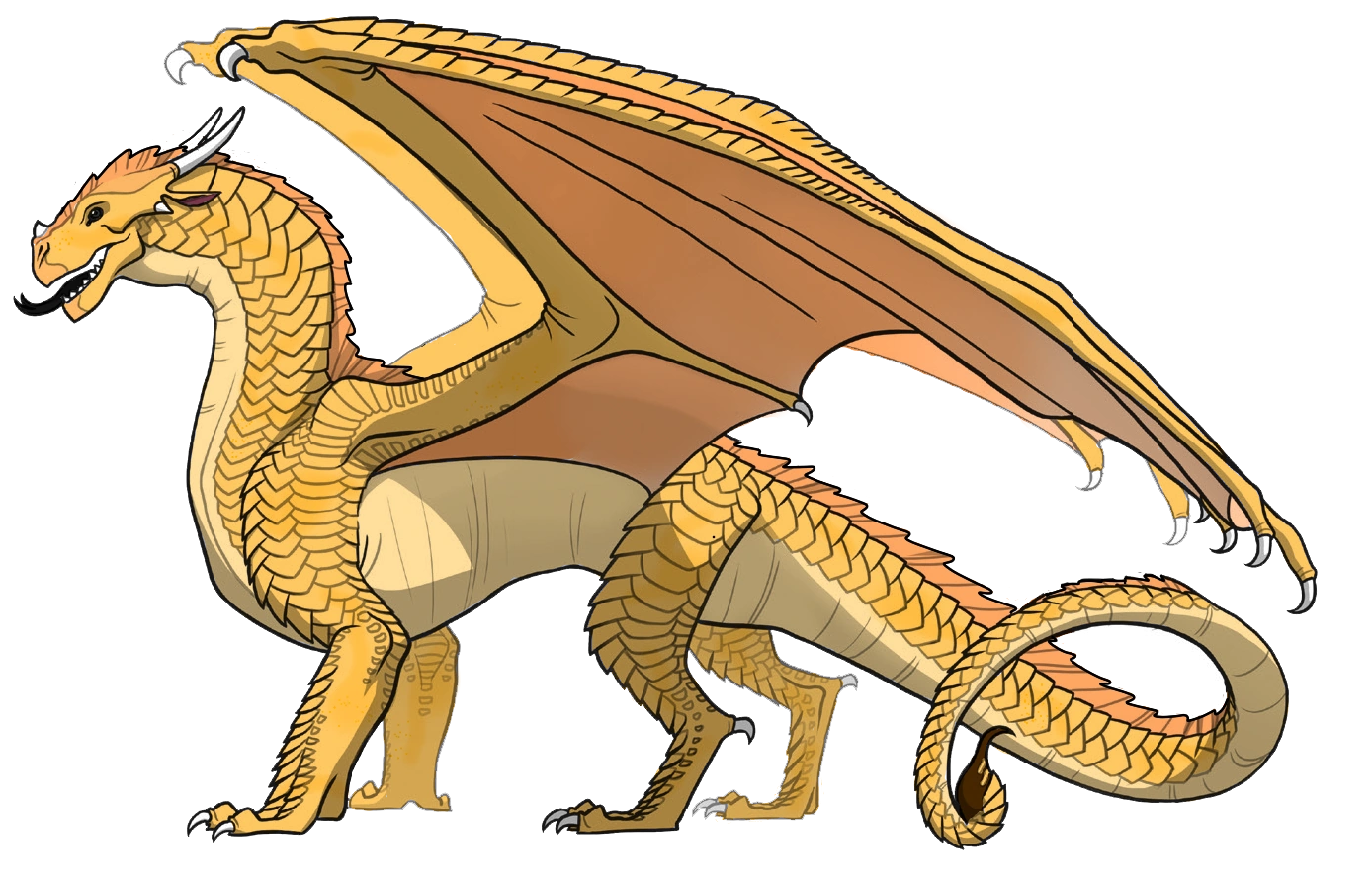 SandWing (4 up) raffle bc yes - CLOSED - unique frills and color ...