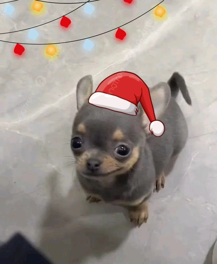 Feliz navidad 🎄 ️ | Fandom