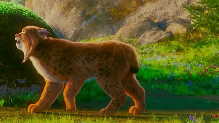 Discuss Everything About NatureRules1 Wiki | Fandom