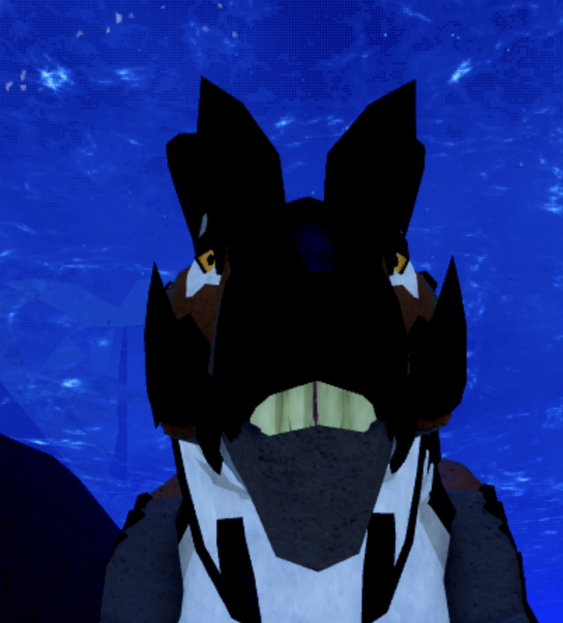 me losing my actual mind waiting for gali's price to lower/hj | Fandom