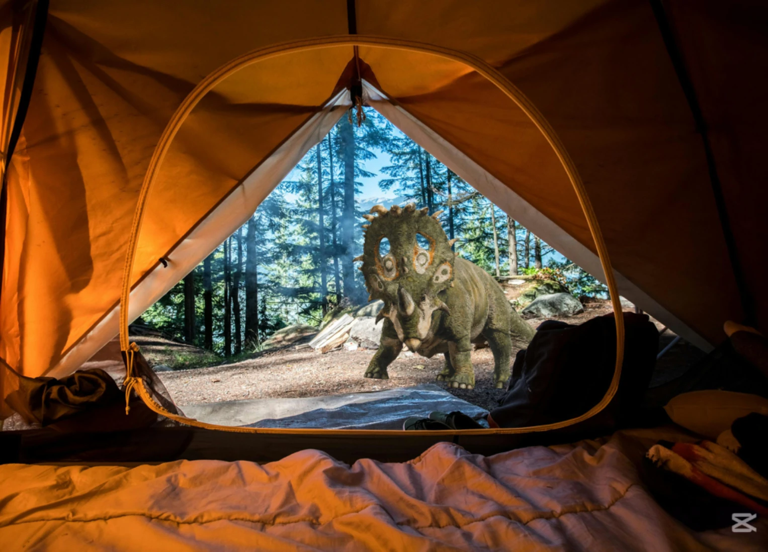 Dinosaur sighting | Fandom