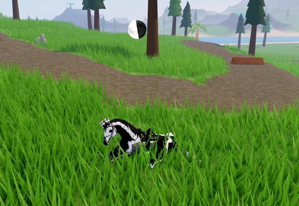 Wooh I finally got a skele arab! | Fandom