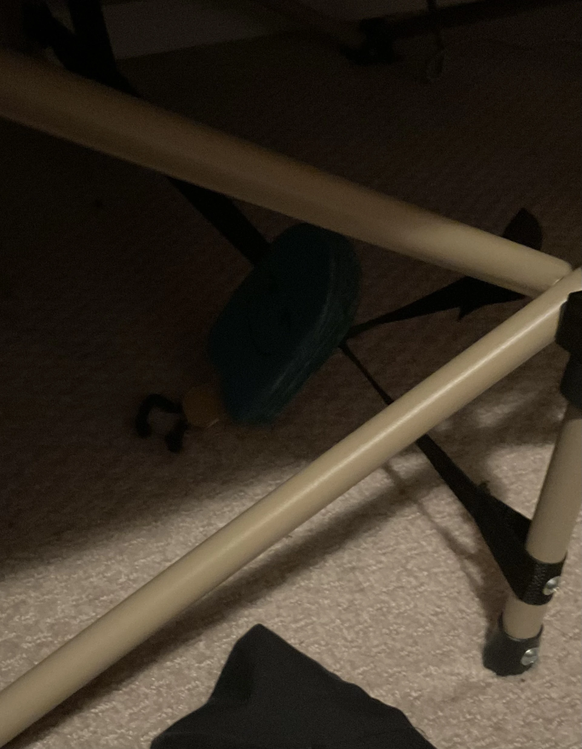 I put him in timeout :)) | Fandom