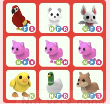 % to neon parrot | Fandom