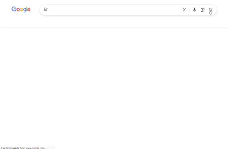 Apparently, searching up "67" or "six seven" on Google makes the whole ...