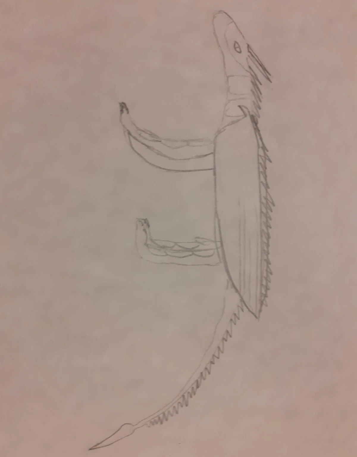 my first wof drawing | Fandom