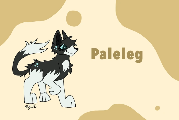 Another one of my warriors ocs | Fandom