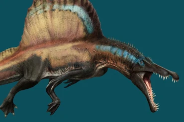 Spinosaurus | Fandom