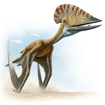 Discuss Everything About Dinopedia | Fandom