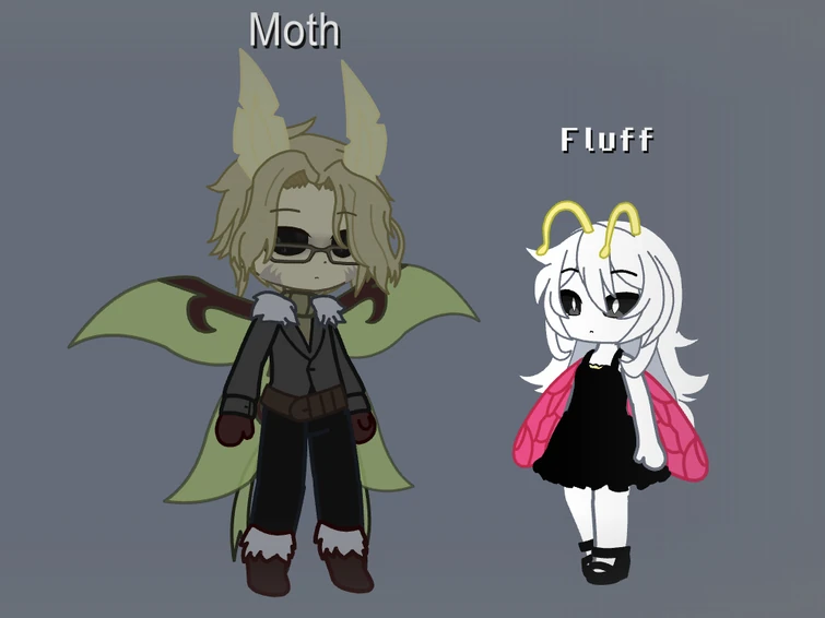 Luna moth Oc | Fandom