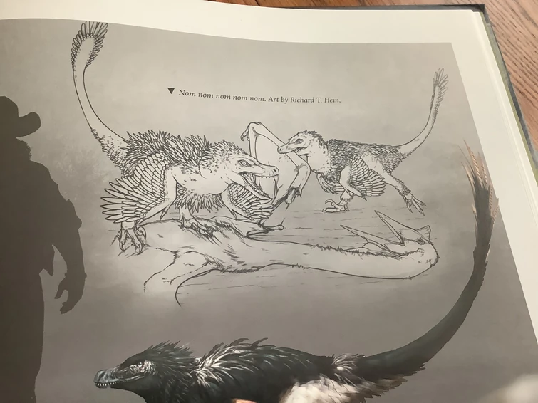 Got the saurian book a few days ago | Fandom