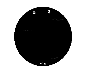 what do you think of this little homunculus I made | Fandom