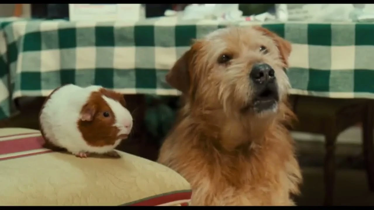 DR. DOLITTLE - PERRO COMPULSIVO | Fandom