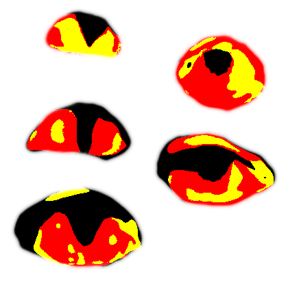 I tried to make XE-95 | Fandom