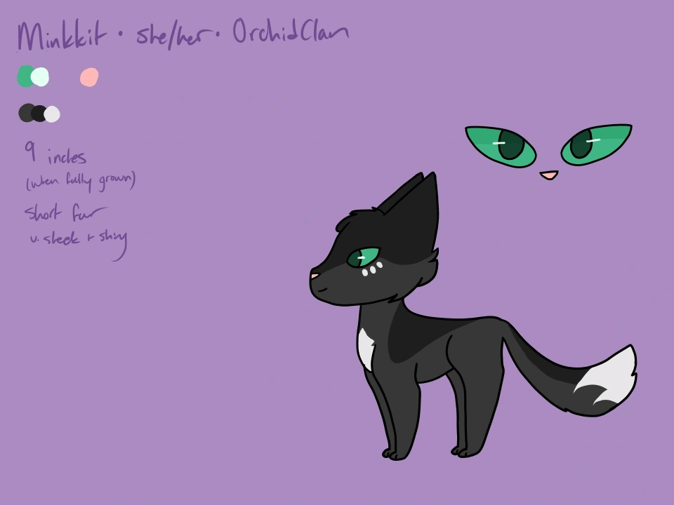Minkkit | A Better Way Renaissance Wiki | Fandom