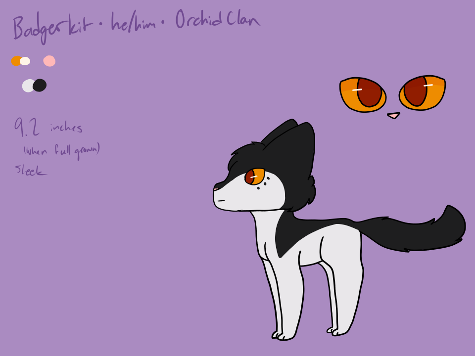 Badgerkit | A Better Way Renaissance Wiki | Fandom