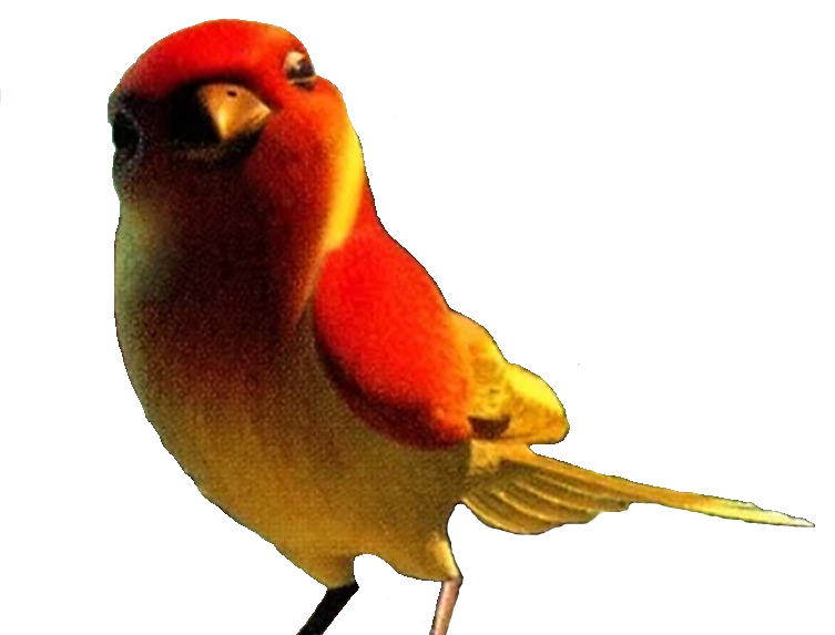 Bird (A Bug's Life) | A Bug's Life Wiki | Fandom