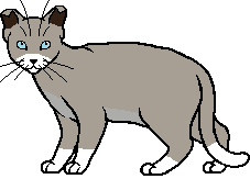 Topsy | A Cat's Tyranny Wiki | Fandom