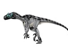 Noasaurus | A Dinosaur Story by HoopsandDinoman Wiki | Fandom