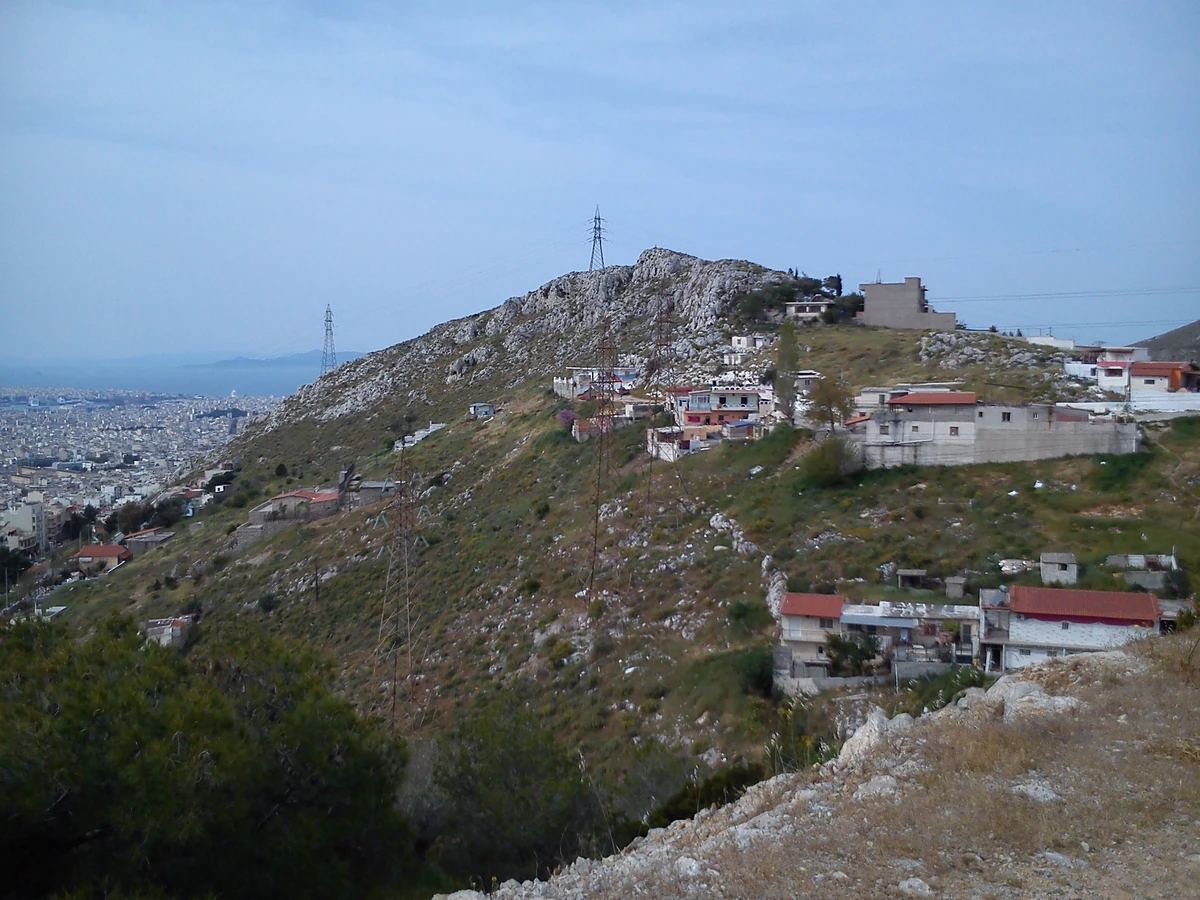 Korydallos Antennae | Ποικιλο Ορος wiki | Fandom