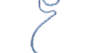 Discuss Everything About A Little Curious Wiki | Fandom