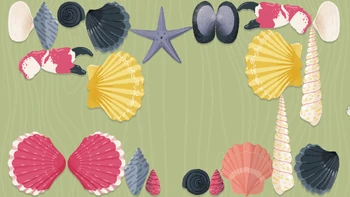 Shells | A little to the Left Wiki | Fandom