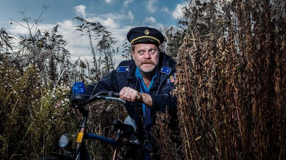 Stoki | A mi kis falunk-wiki | Fandom