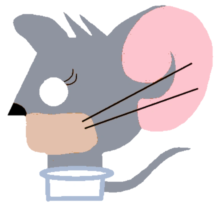 Tuffy/Gallery | A PBS P-HEAD PARODY Wiki | Fandom