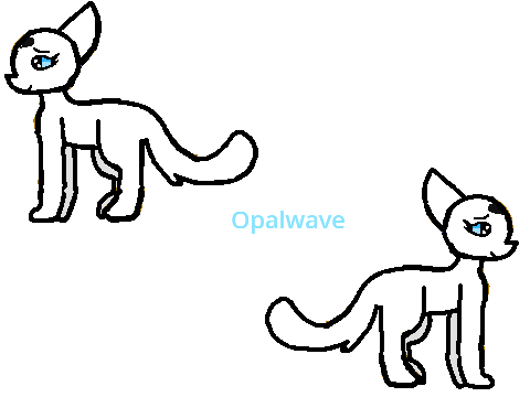 Opalwave (AKA the mystery cat) | A Prophecy of Night and Sun Wiki | Fandom