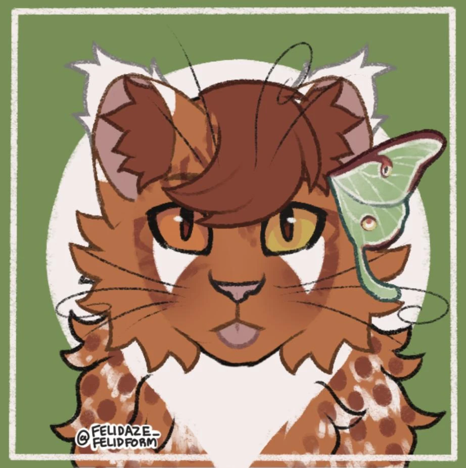 Squirrelcurl | A Silent Hope Wiki | Fandom