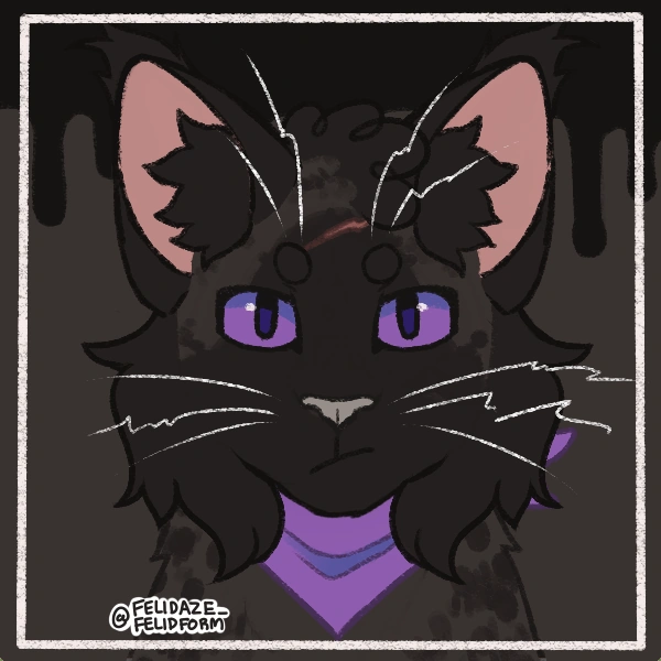 Rookpaw | A Silent Hope Wiki | Fandom