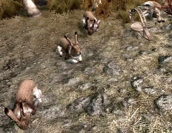 Water Rabbit | A Skyrim Tale - By Venturian Wiki | Fandom