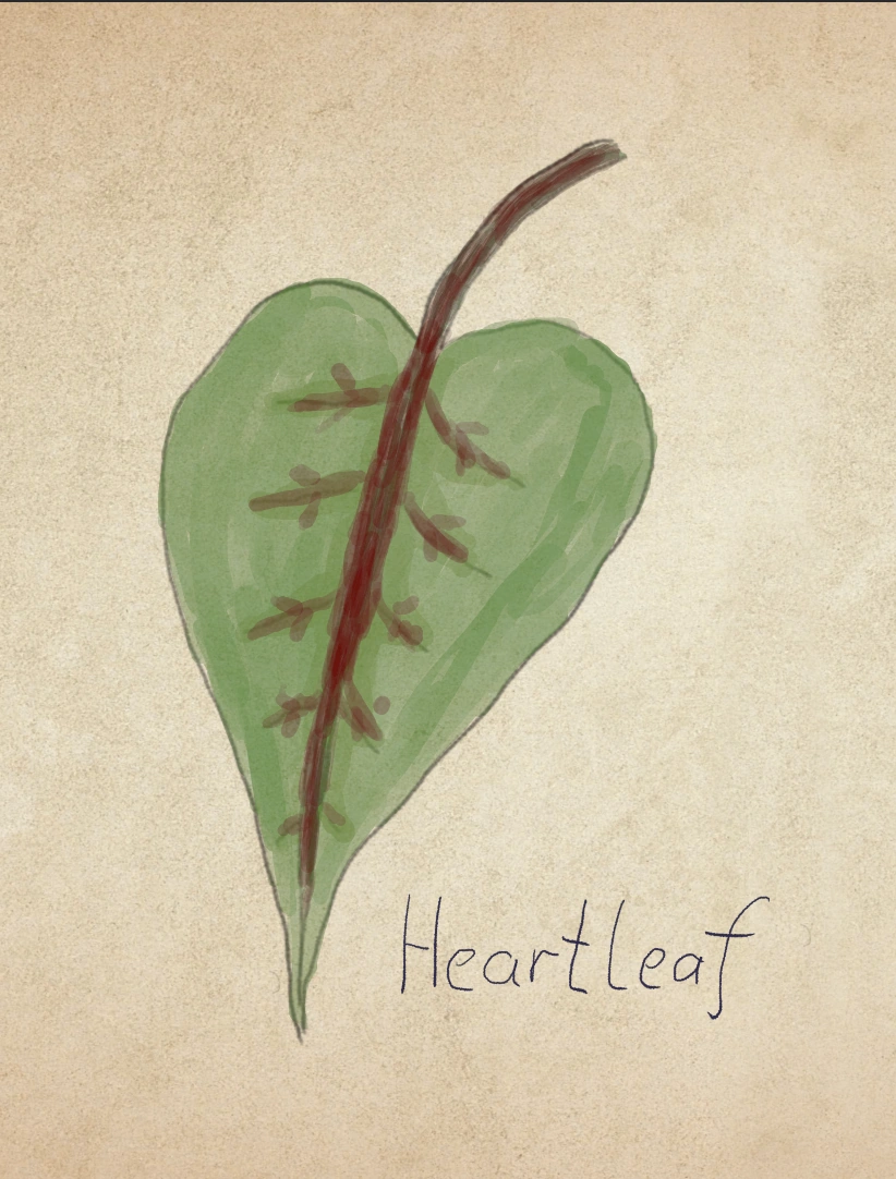 Heartleaf | Atempting Fate Wiki | Fandom