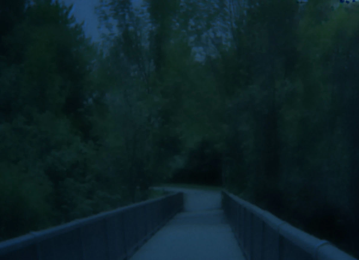 Discography Of The Sunset Collective A Trip Through The Wormhole Wiki