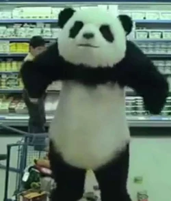 Panda | A TV Challenge Wiki | Fandom