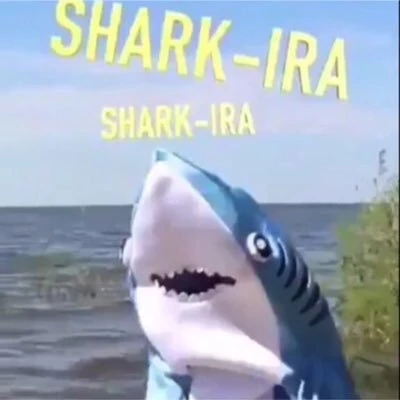 Shark-Ira | A TV Challenge Wiki | Fandom