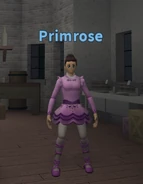 Primrose | A Wolf Or Other Wiki | Fandom