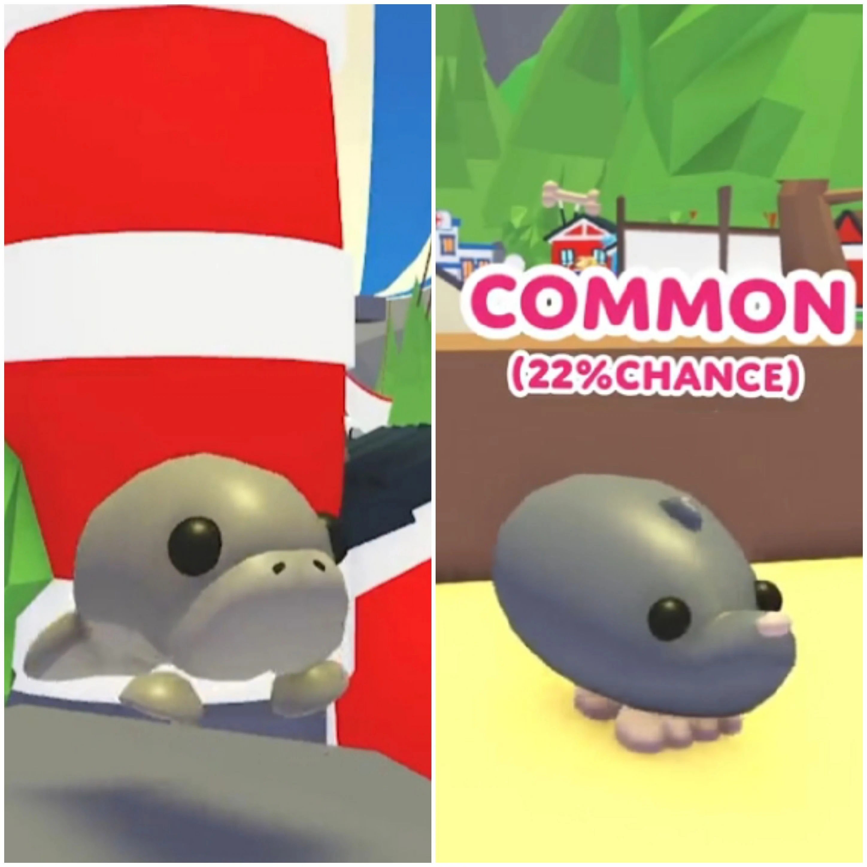 All of the upcoming Japan pets | Fandom