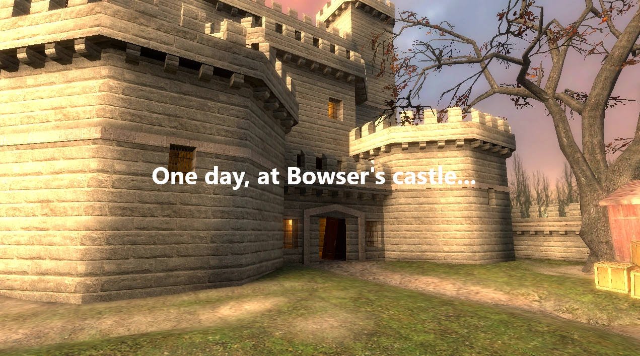 Down With Bowser! | Fandom