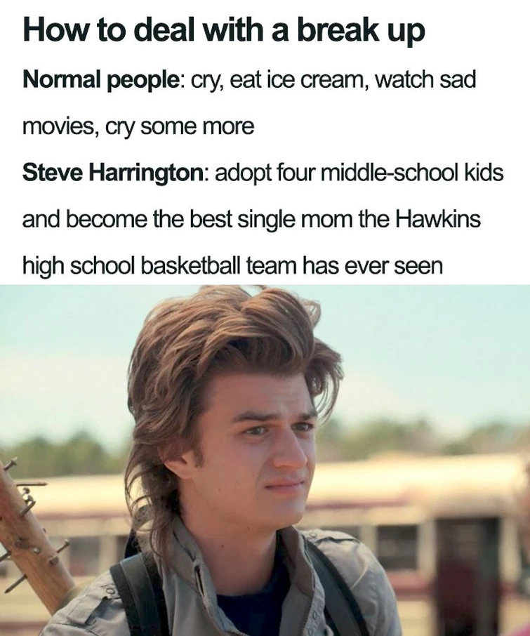 Mom Steve Meme Dump!!! | Fandom