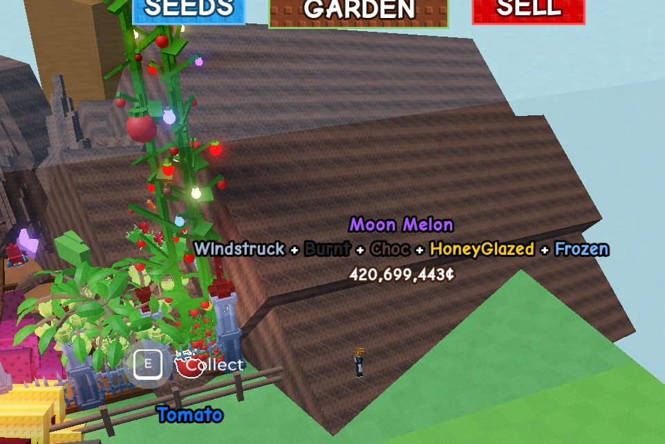 Big moon melon | Fandom